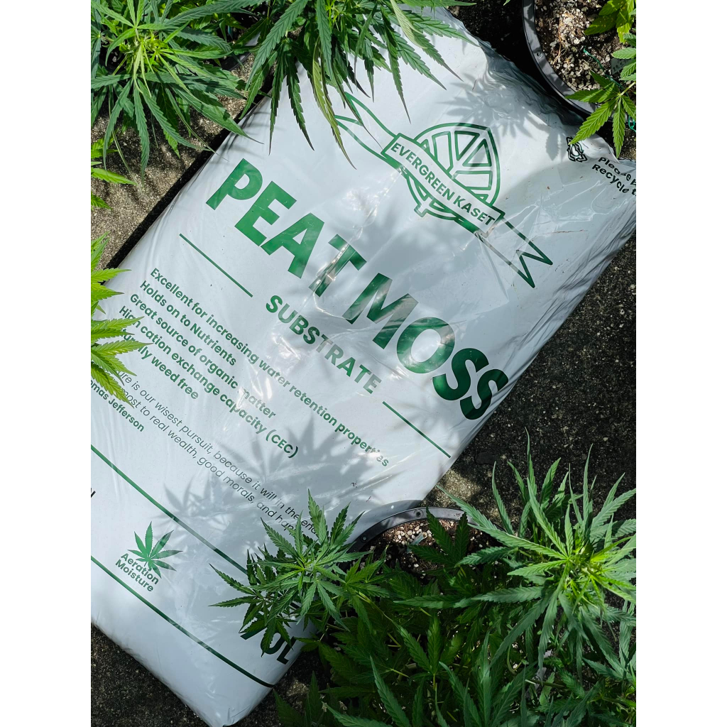 พีทมอส ซับสเตรท Ts4 850 กรัม(ประมาณ5ลิตร) Peat Moss Substrate: #Ts4 ...