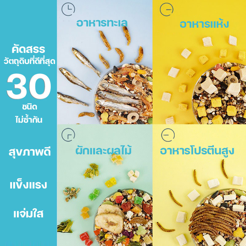 Petaholic (CST100) อาหารหนู หนูแฮมเตอร์ 450g ไจแอนท์ หนูโรโบ หนูตัวเล็ก ...