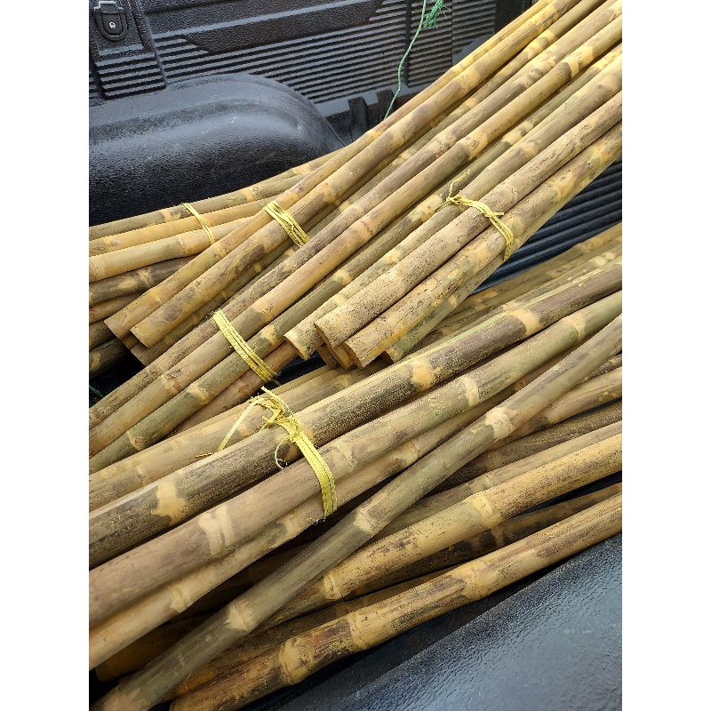 ด้ามจอบ แถม ลิ่ม ด้ามเสียม ไม้ไผ่ ไม้ไผ่ตัน ไม้ไผ่ หายาก งานฝีมือ ยาว ...