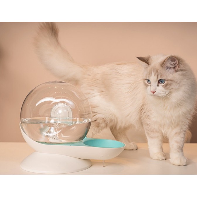 Boqi factory เครื่องให้น้ำแมวอัตโนมัติ โถน้ำแมว ดีไซน์หอยทาก Snail PP02 - Boqi Factory - ThaiPick