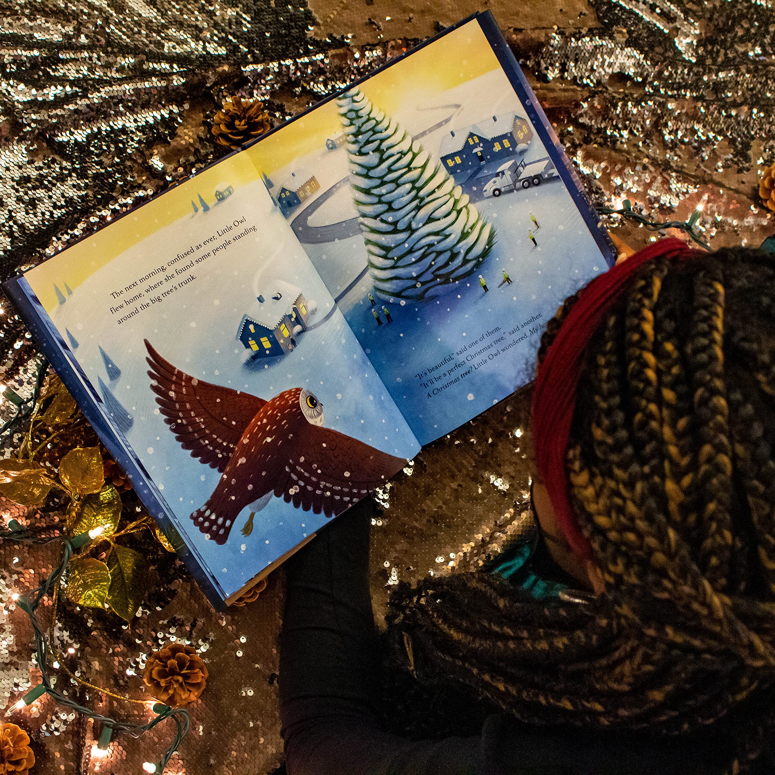 The Christmas Owl Based on the True Story of a Little Owl Named ...