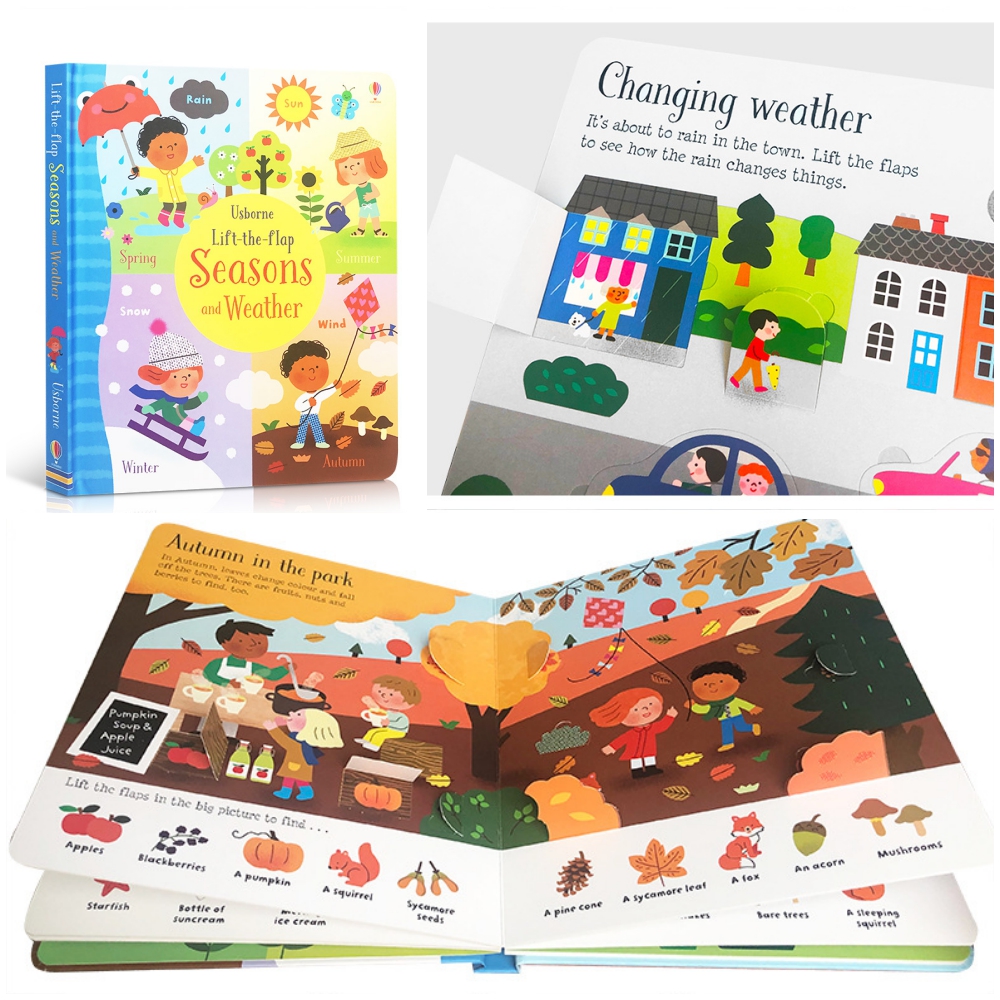 Usborne Lift the flap ชุด Season & Weather, ABC หนังสือเด็ก หน้าต่าง ...