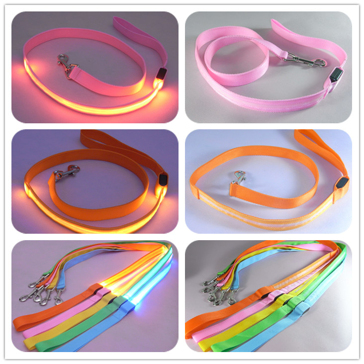 Nylon LED Light Up Dog Leash Night Safety LED Flashing Glow In Dark Dog ...