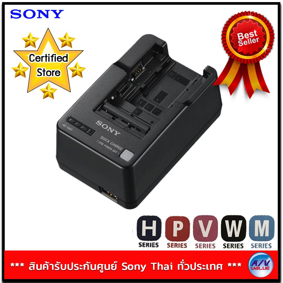 Sony BC-QM1 Battery Charger (For H, M, P, V, W type Batteries) - AV ...