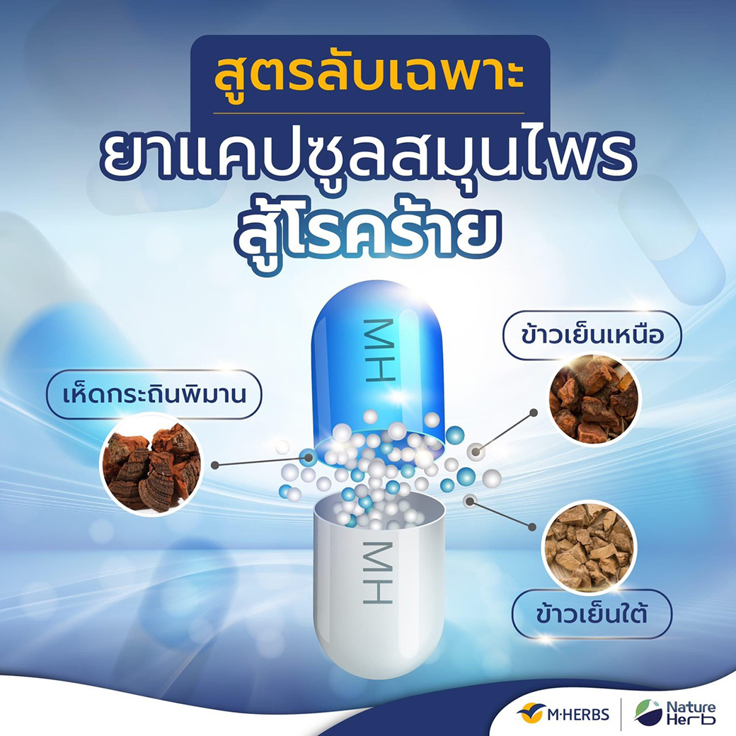 ยาแคปซูลสมุนไพร ตรา เอ็ม เฮิร์บ 30caps ( M HERBS ) - Natureherb ...