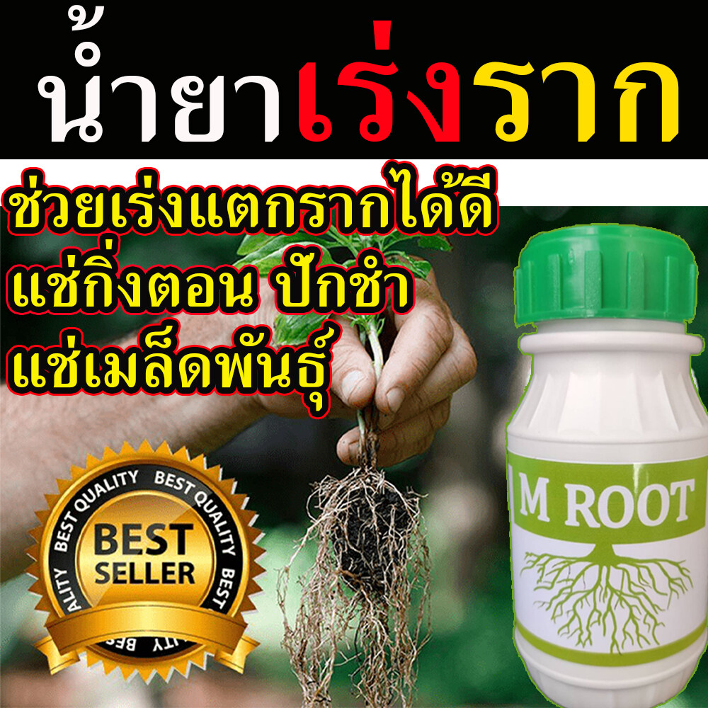  M Root 250 Cc 