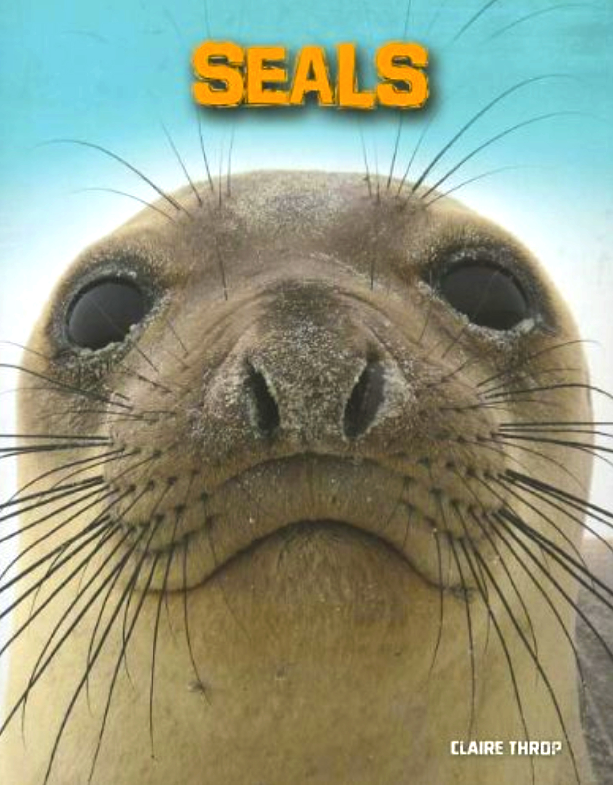 INFOSEARCH LIVING IN THE WILD : SEALS BY DKTODAY | Lazada.co.th