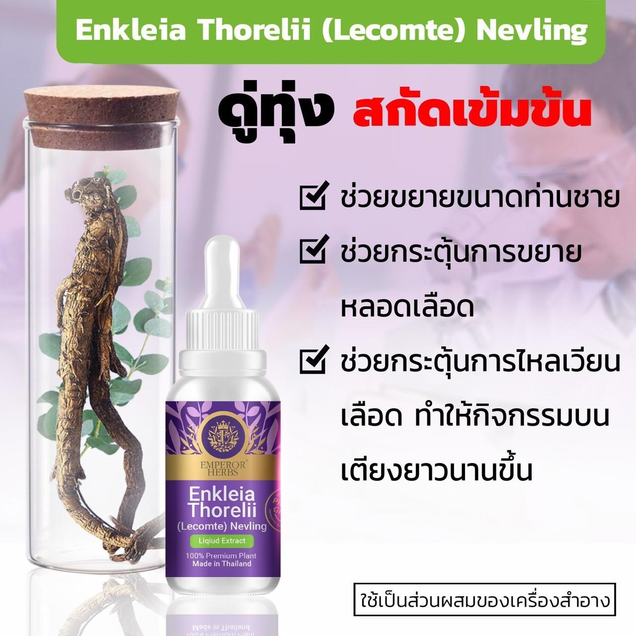 ดู่ทุ่ง หรือประดู่ทุ่ง Enkleia thorelii (Lecomte) Nervling ( Emperor ...