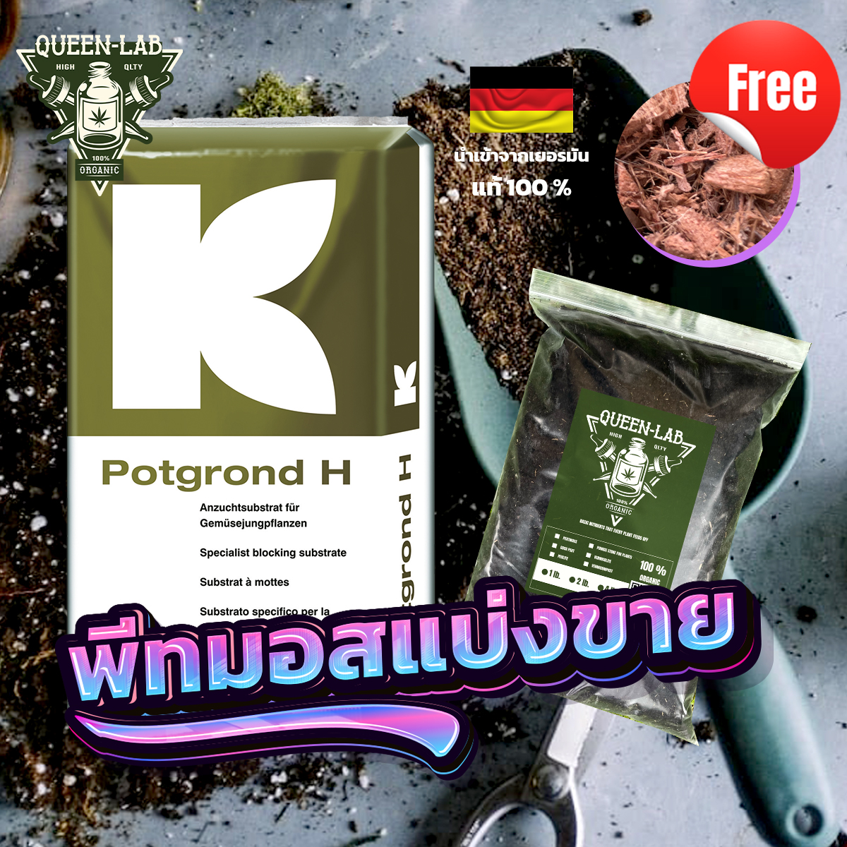 KLASMANN คลาสแมน พร้อมส่ง พีทมอสสำหรับเพาะต้นกล้า Potgrond H(นำเข้าจาก ...