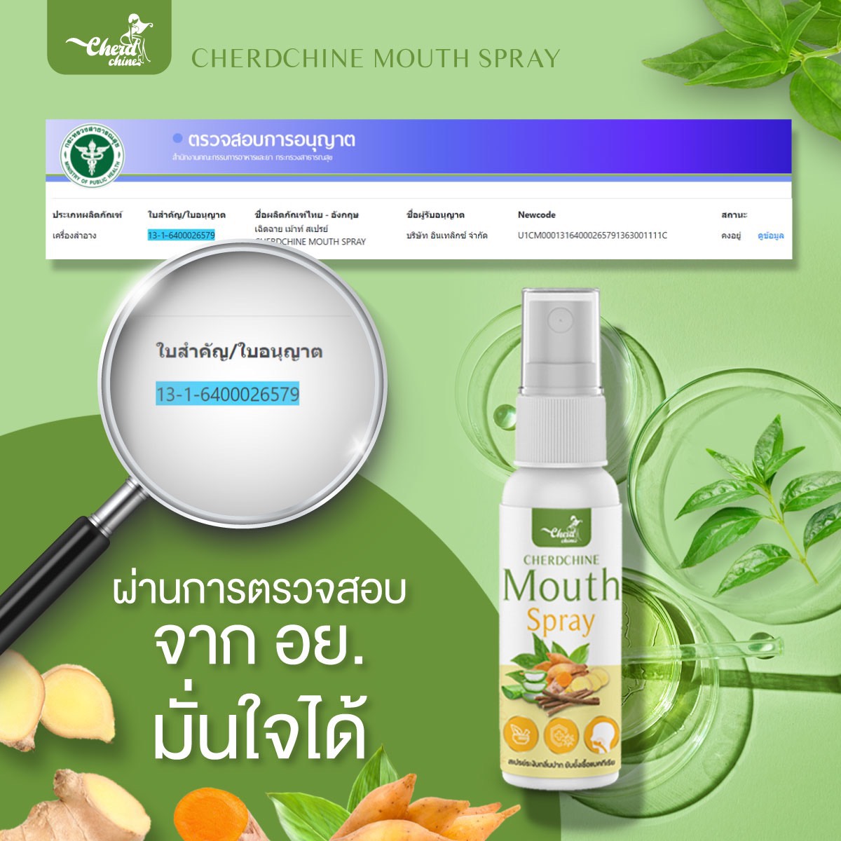 Cherd Chine Mouth Spray เฉิดฉาย สเปรย์พ่นคอ สเปรย์ระงับกลิ่นปาก สารสกัด ...
