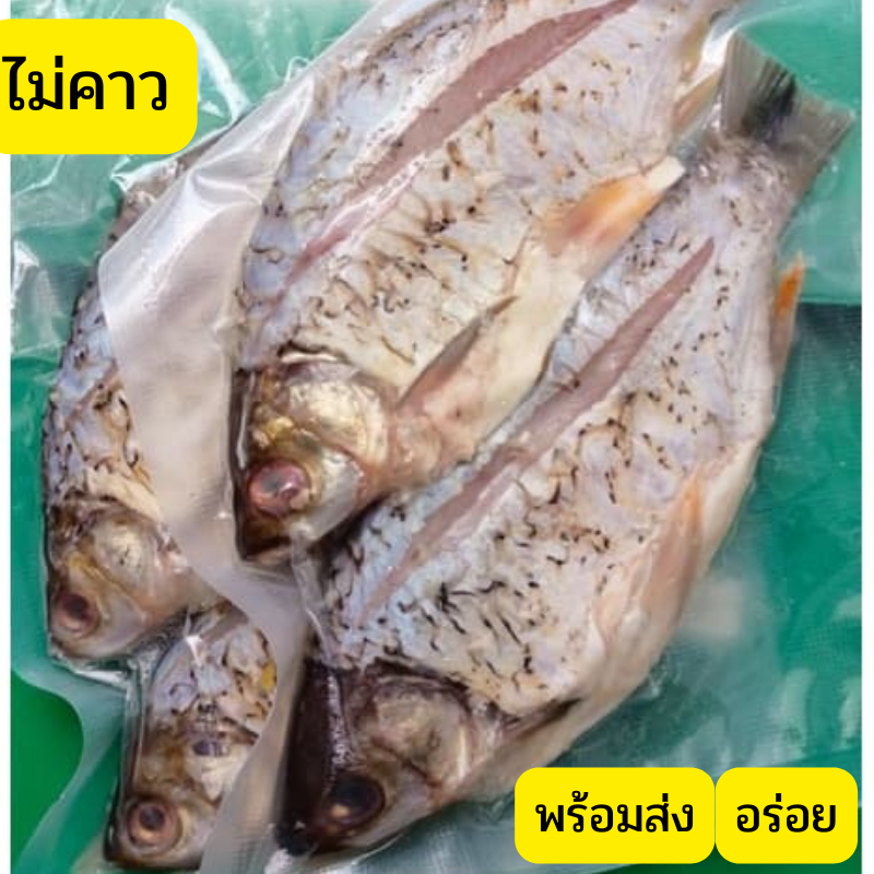 ของอร่อยๆ ปลาส้มไร้ก้าง กลุ่มแม่บ้านชัยภูมิ สูตรธรรมชาติ ตัดก้างไม่มี ...