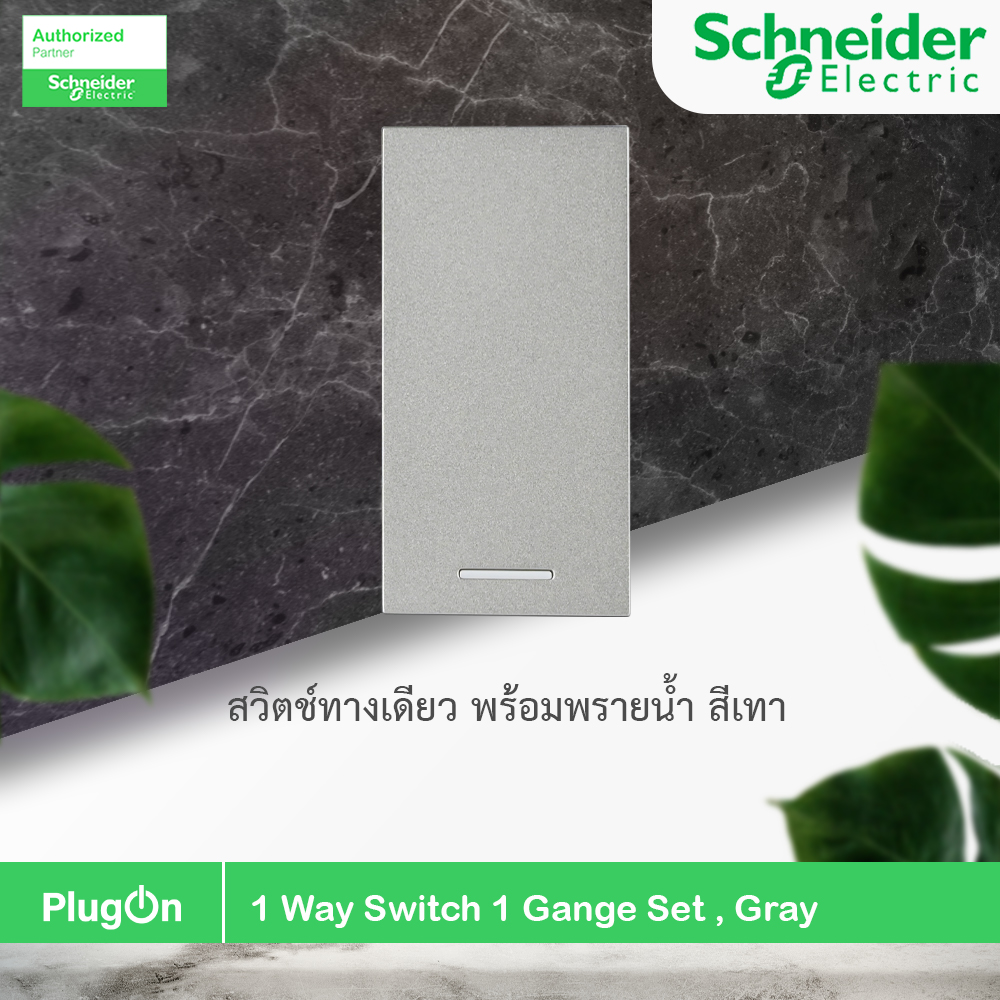 Schneider Electric ชุดเต้ารับ 3 ขา + สวิตช์ทางเดียว 1 ช่อง สีขาว Single ...
