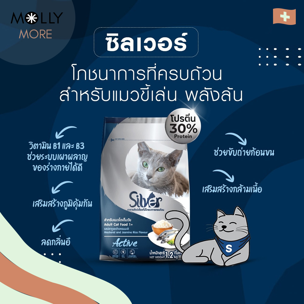 MOLLY Silver ซิลเวอร์ อาหารแมว ชนิดเม็ด เกรดพรีเมี่ยม โซเดียมต่ำ ขนสวย ...