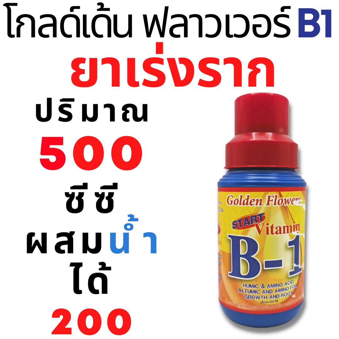 Golden Flowers B-1 บี-วัน ยาเร่งราก ขนาด 100-500 ml. คลุกเมล็ด ตอนกิ่ง ปักชำ ยี่ห้อ โกลด์เด้น ฟ ...