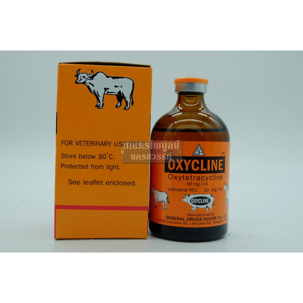 OXYCLINE อ๊อกซี่คลีน 100 cc. exp 10-04-2024 - ยาสัตว์จากฟาร์ม - ThaiPick