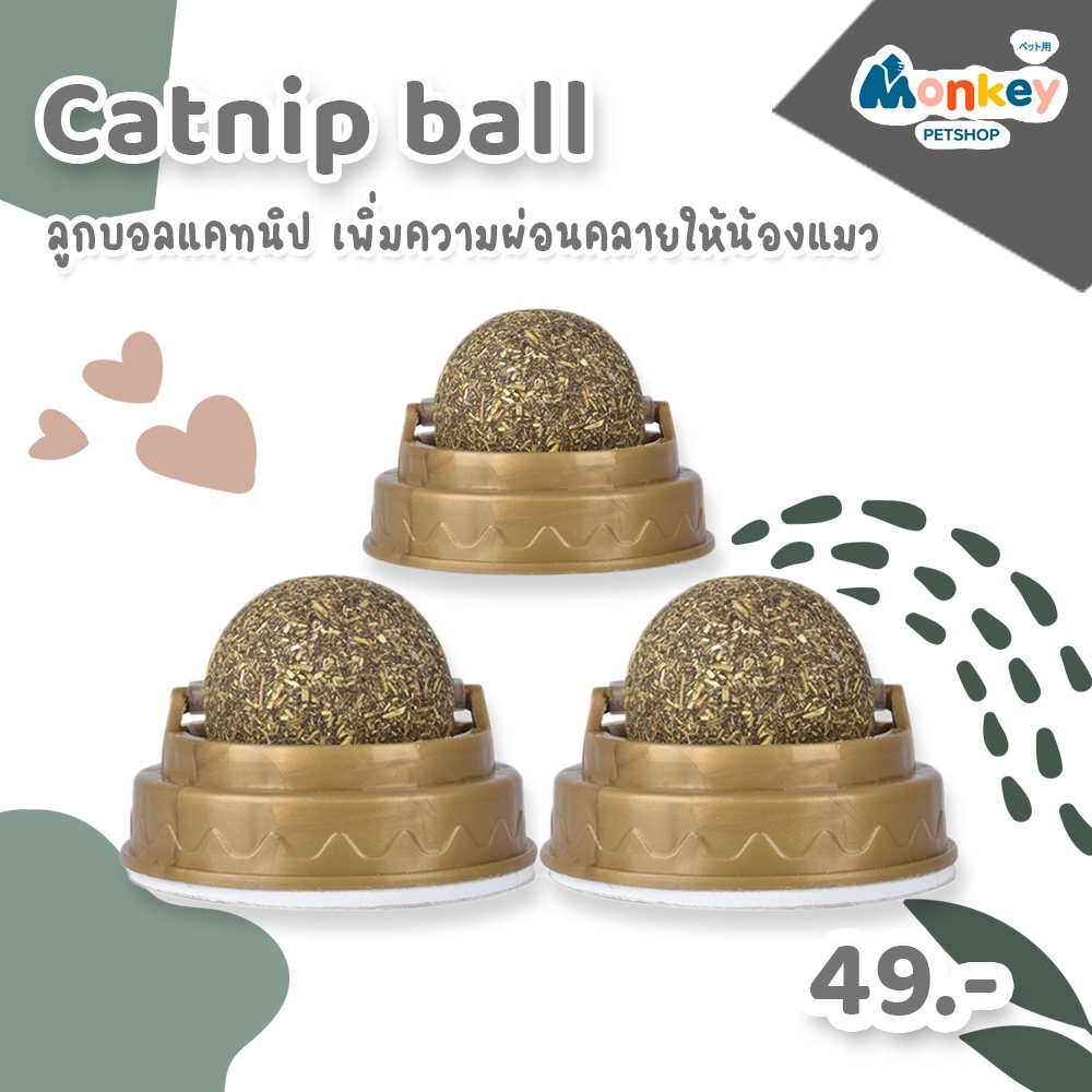 catnip ball ลูกบอลแคทนิปแมว ลูกบอลกัญชาแมวติดผนัง ของเล่นแมว MONKEY ...