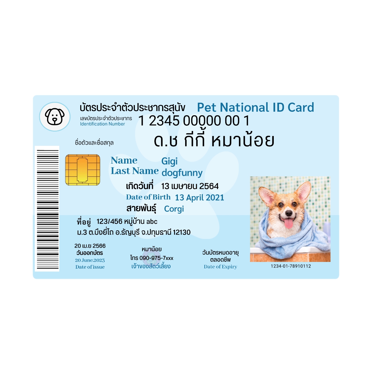 Pet Identity Card บัตรประชาชนสัตว์เลี้ยง วัสดุแบบบัตรแข็ง PVC บัตร ...