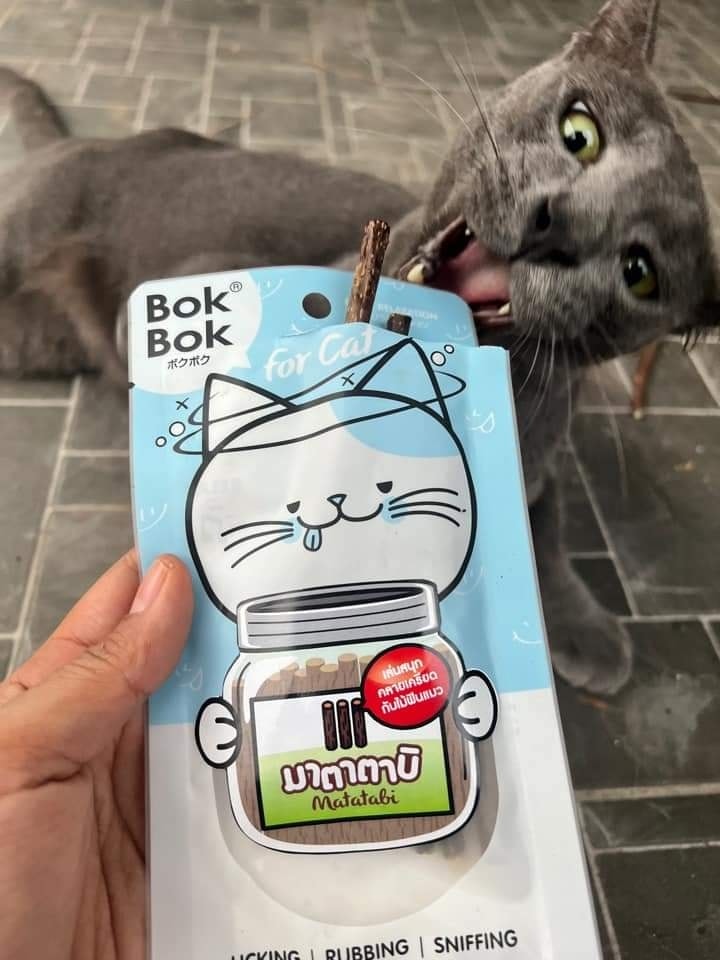 BokBok แมวฟิน แคทนิปแมว Catnip /ไม้มาตาตาบิ Matatabi ช่วยผ่อนคลาย คลายเครียด - HealthyPet - ThaiPick