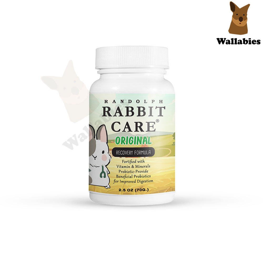 Randolph RABBIT CARE อาหารเสริมพลังงานกระต่ายป่วย สูตร Original 70 กรัม | Lazada.co.th