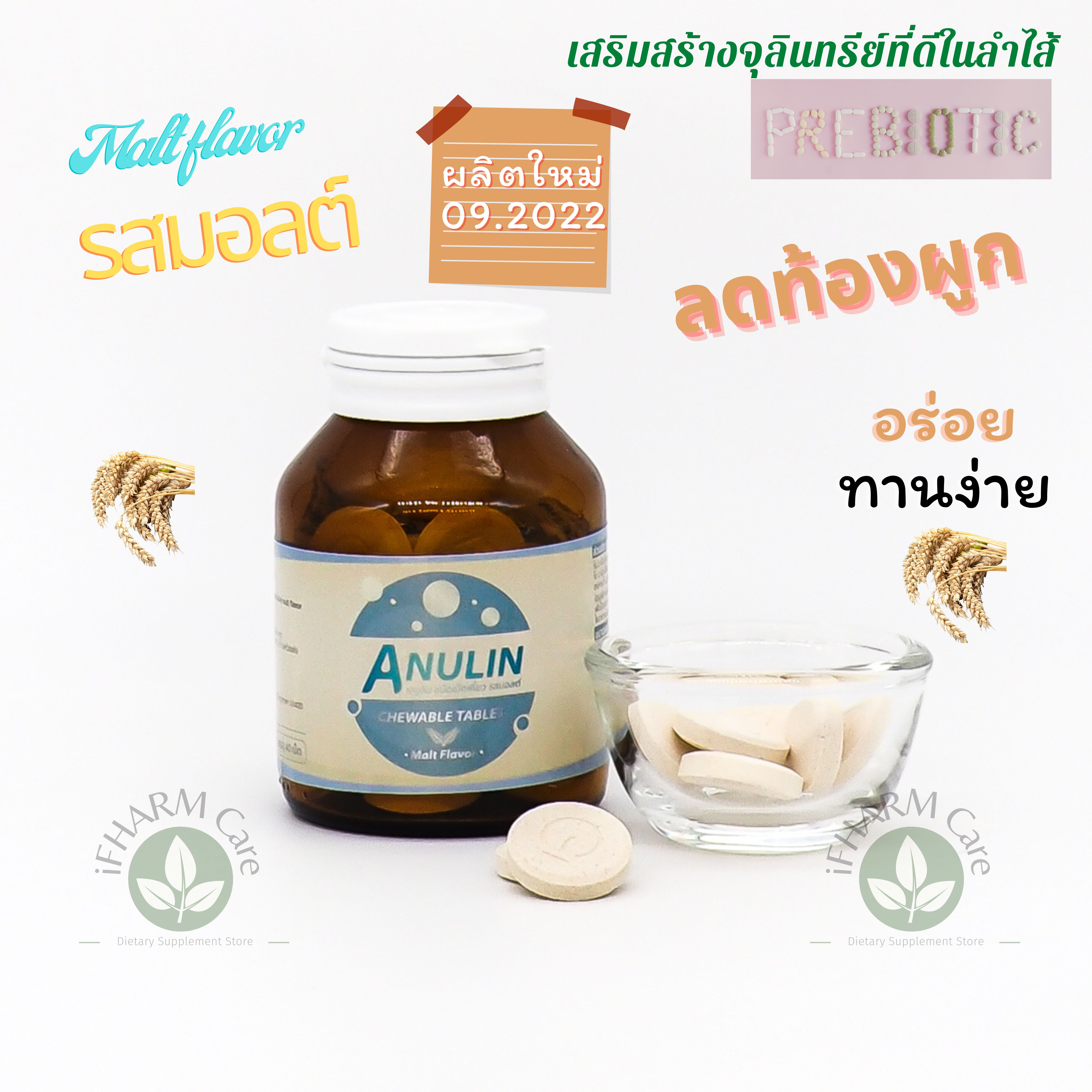 Prebiotic พรีไบโอติก คณะเภสัช จุฬา Anulin (Inulin อินนูลิน) ใยอาหาร ...