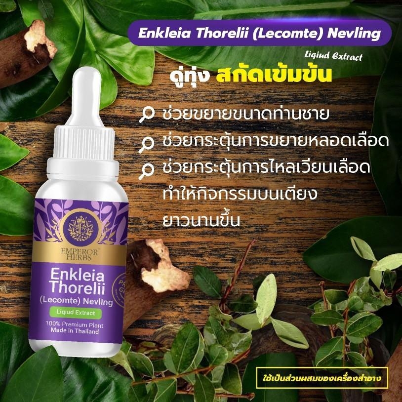 ดู่ทุ่ง หรือประดู่ทุ่ง Enkleia thorelii (Lecomte) Nervling ( Emperor ...