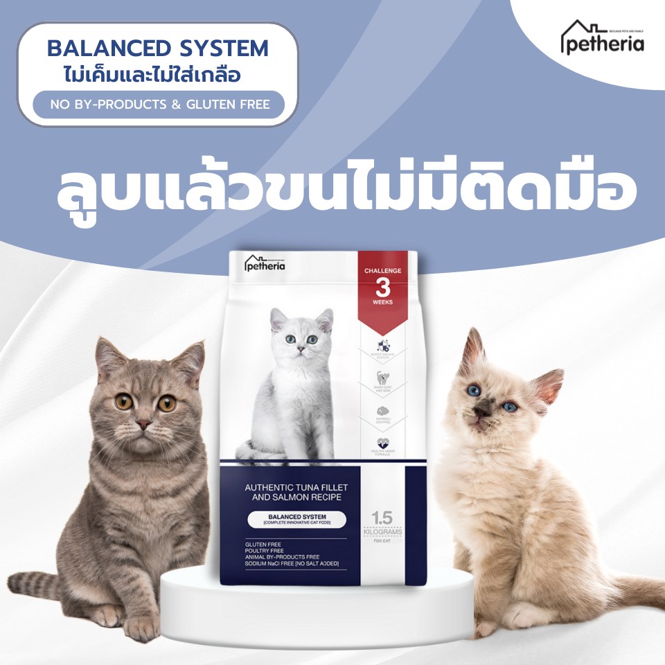 Petheria ยกลัง10ถุง อาหารแมวเพ็ทเทอเรีย 1.5kgx10 - catcatdogcat - ThaiPick