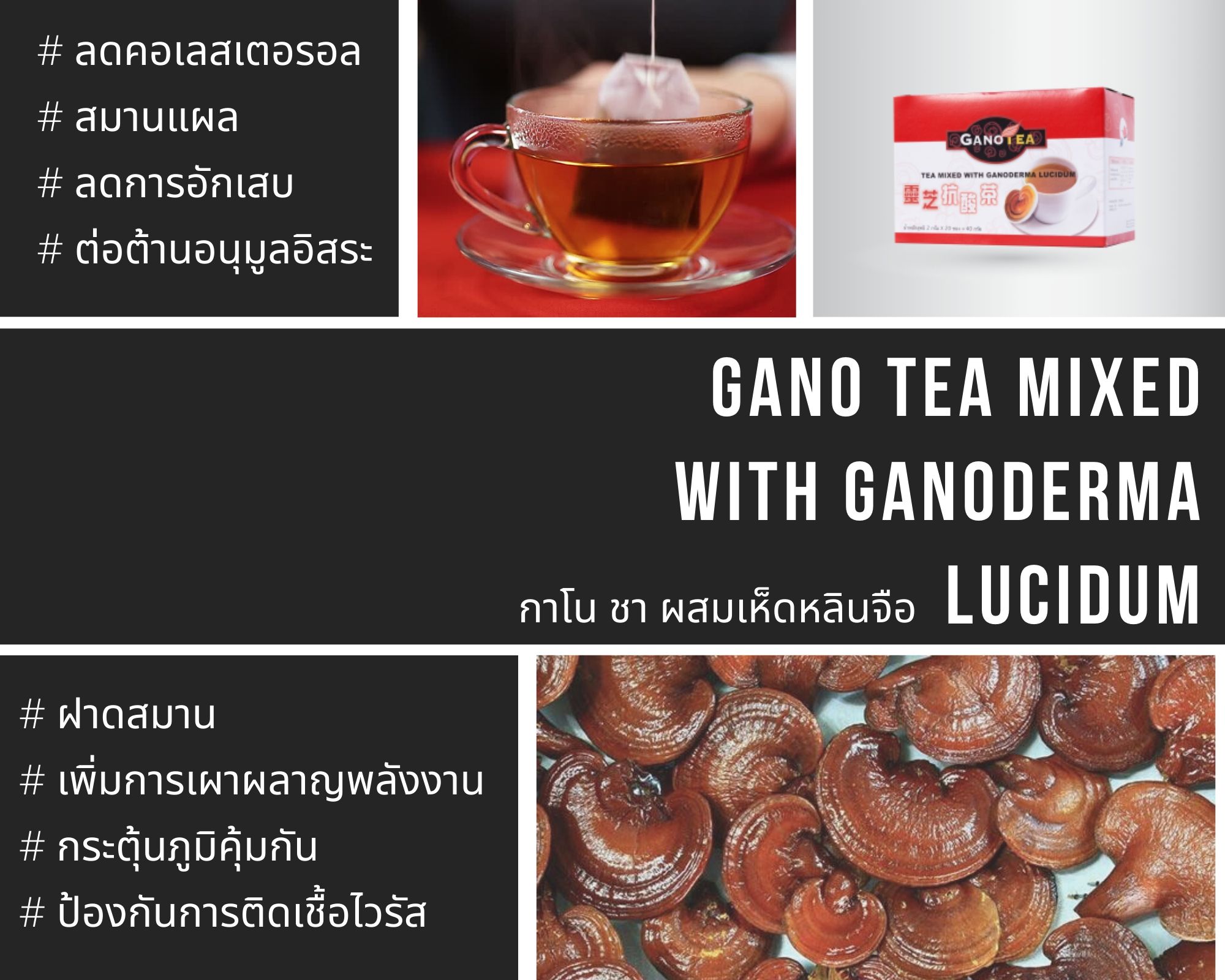 ผลไม้และชาสมุนไพร กาโน ชาผสมเห็ดหลินจือ - GANO TEA MIXED W - ช้อปปิ้ง ...