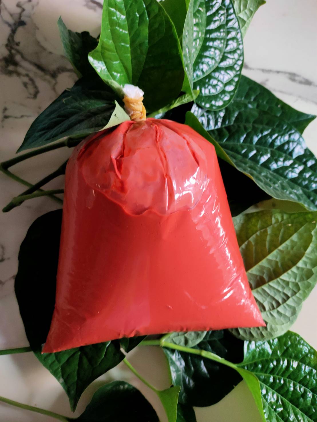 Red lime chewing betel nuts used to water vegetables to prevent aphids ...