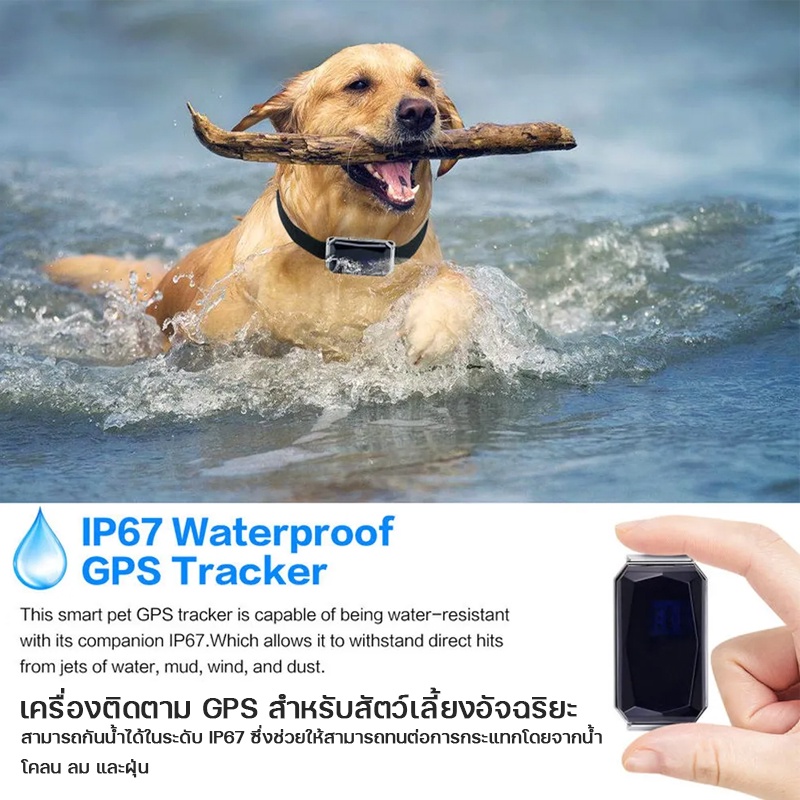จีพีเอส Tracker GPS-G12 สำหรับติดคอสุนัขและสัตว์ ปรับขนาดได้ GPS-C13 ...