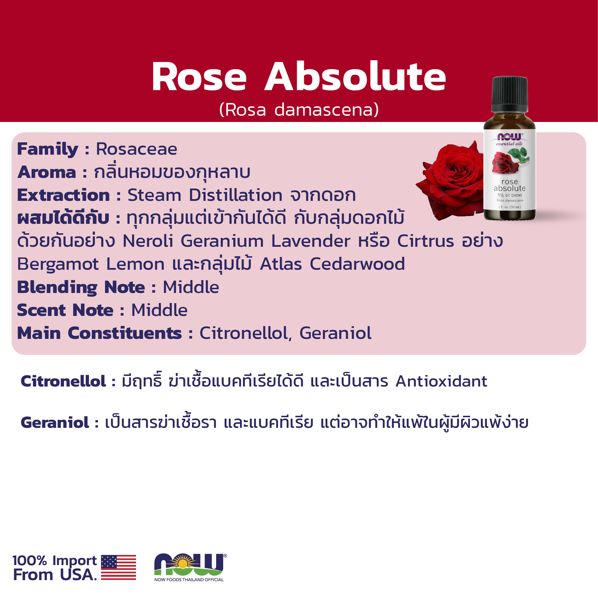 Now Foods Rose Absolute Oil Blend 30 ml 5 Oil Blend Essential Oil น้ำมันหอมระเหย โรสแอปโซลูต ...