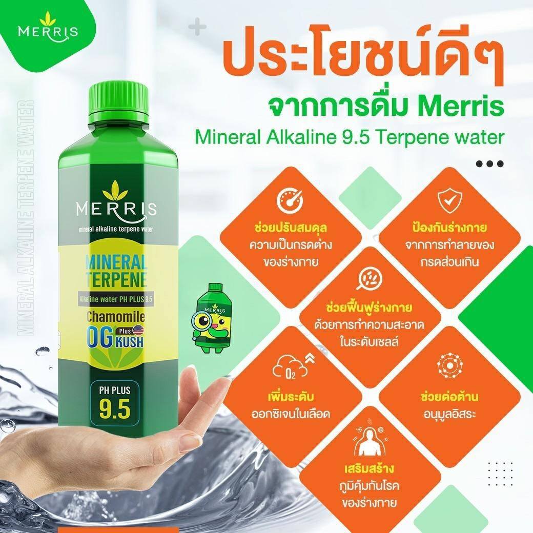 Merris Merris เครื่องดื่มน้ำแร่ อัลคาไลน์ เทอปีน น้ำดื่มอารมณ์ดี 1 ขวด ...