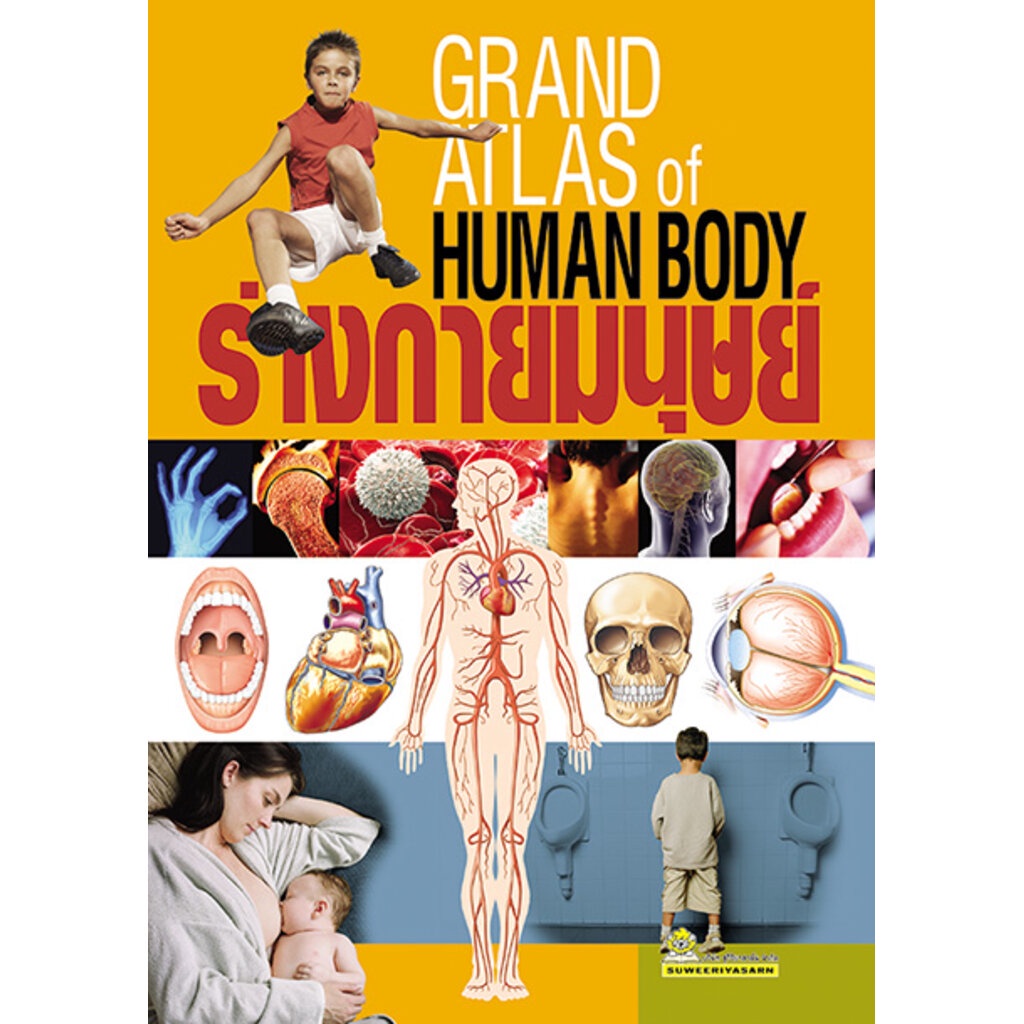 ร่างกายมนุษย์ Grand Atlas of Human Body | Lazada.co.th