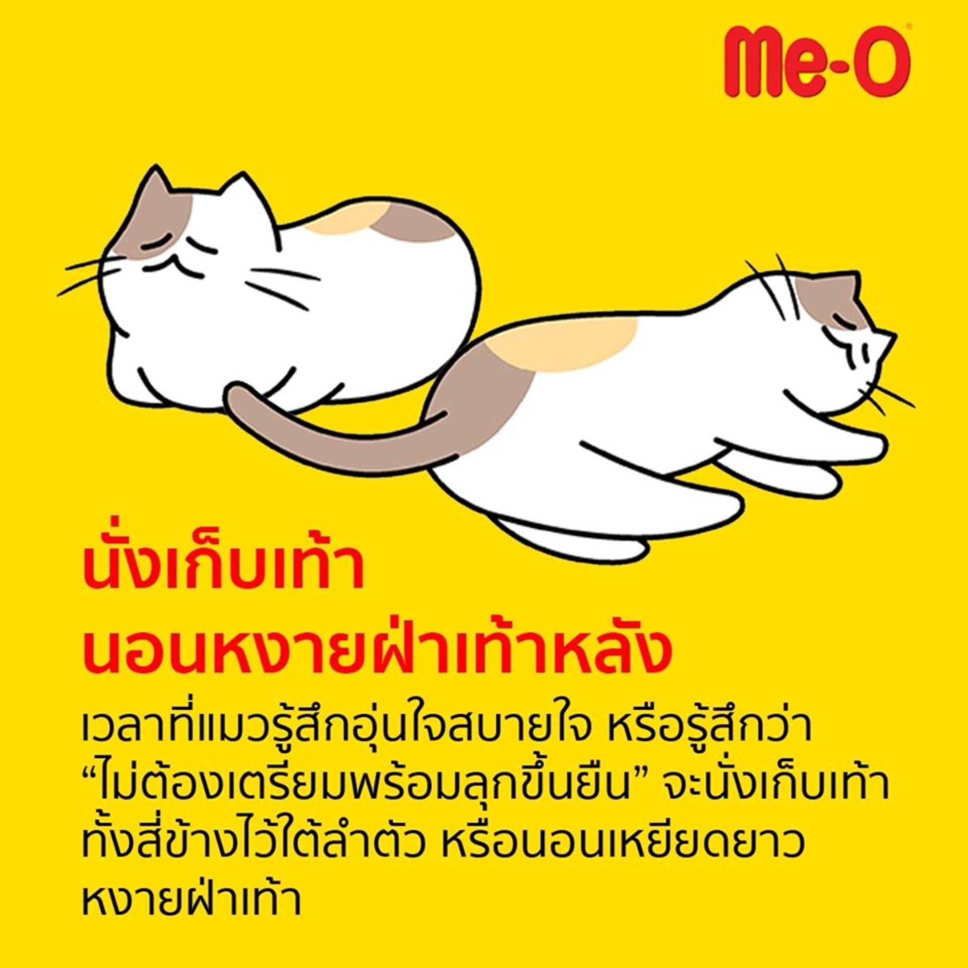 [MALETKHAO] Me-O (มี-โอ) แบบกระป๋อง อาหารเปียกแมว ขนาด 400 กรัม - เมล็ดข้าวเพ็ทช้อป - ThaiPick