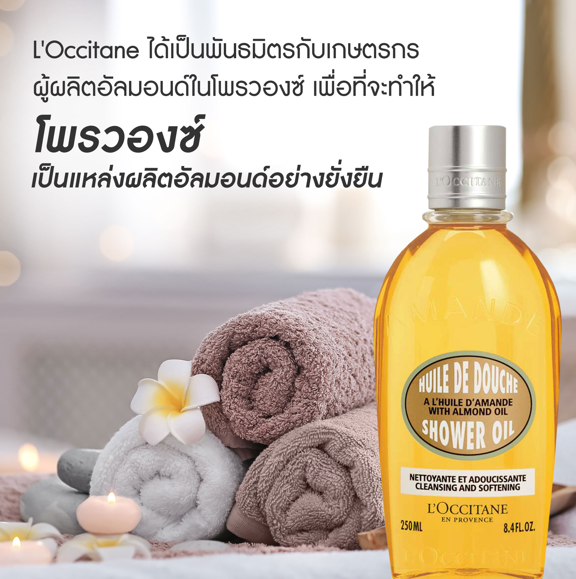[สินค้าขายดี] L'Occitane Almond Shower Oil Eco-Refill 500ml ล็อกซิทาน ออยล์อาบน้ำ อัลมอนด์ ชาว ...