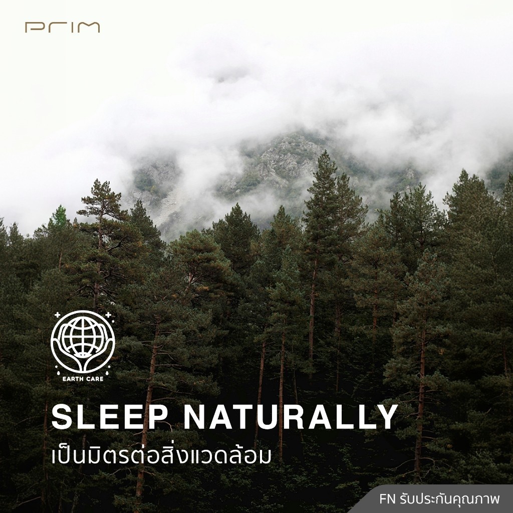 FN PRIM ชุดผ้าปูที่นอน BAMBOO ขนาด 6 ฟุต ผ้าปูที่นอนใยไผ่ สัมผัสนุ่ม ...