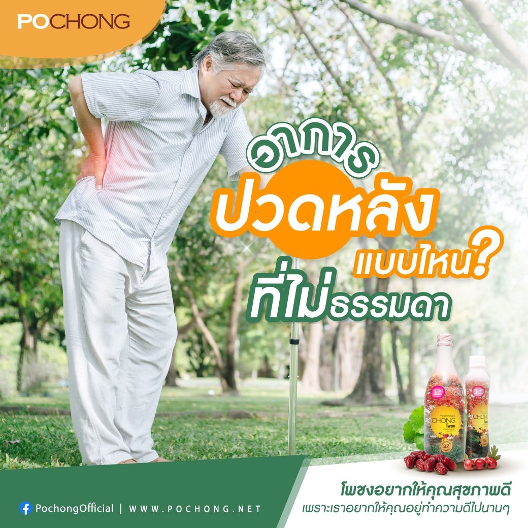 โพชง (POCHONG) น้ำสมุนไพร 32 ชนิด 5 ขวดสุดคุ้ม - Pochong - ThaiPick