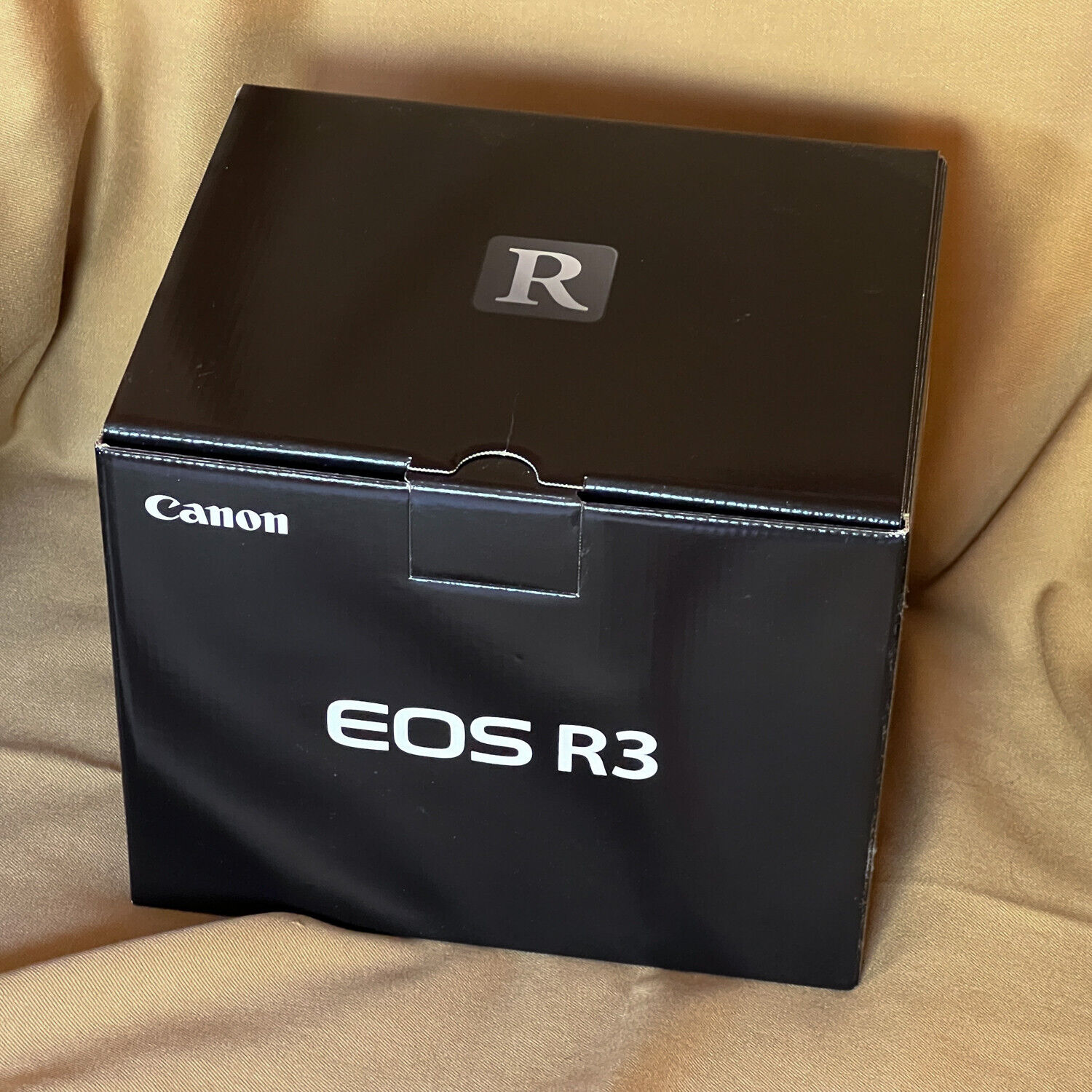 Canon EOS R3 24.0MP Mirrorless Camera - Black (Body Only) - xFB77C78 - ThaiPick