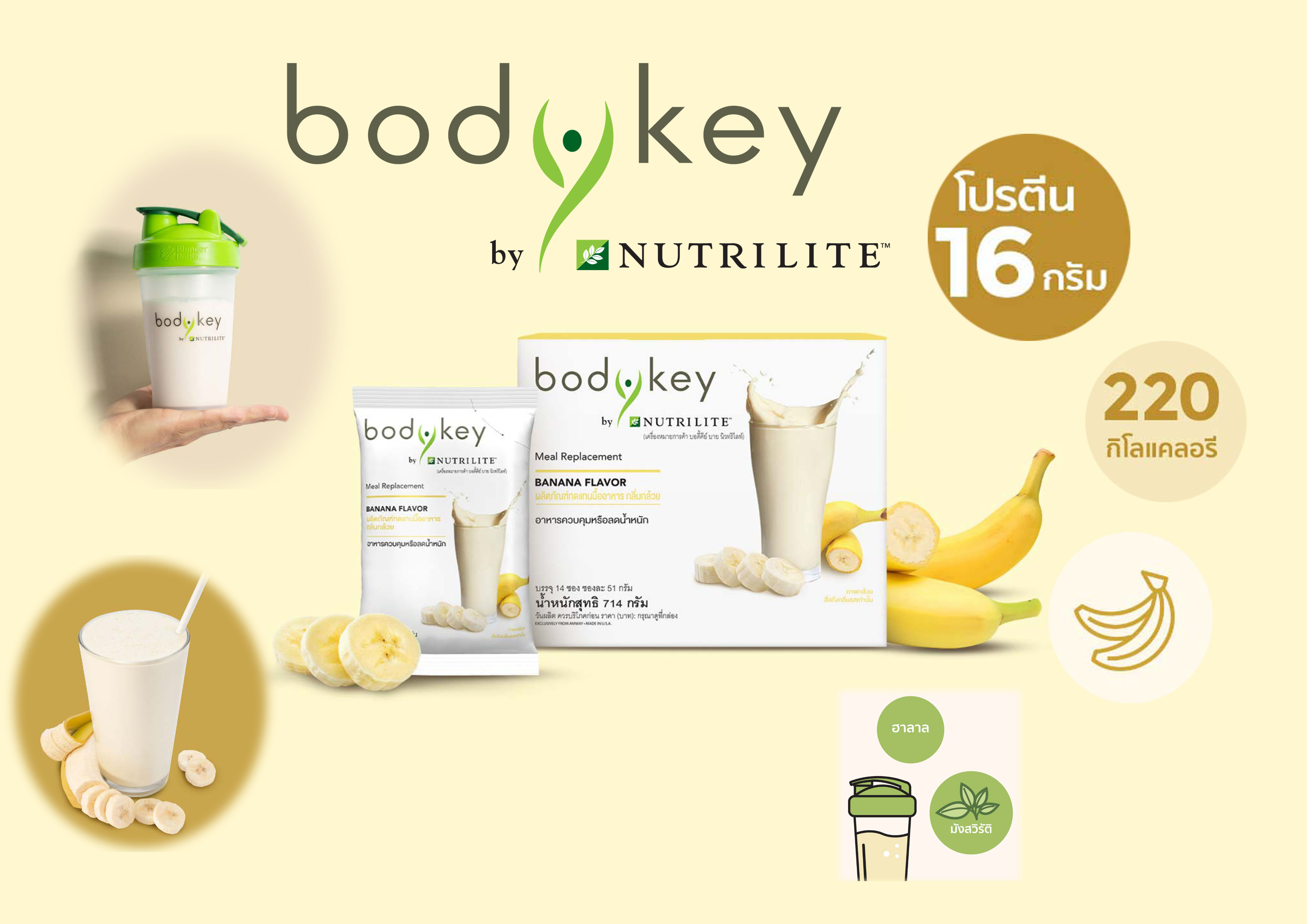 Bodykey by Nutrilite ????ผลิตภัณฑ์ทดแทนมื้ออาหาร รสโกโก้ กาแฟ ชานม ...