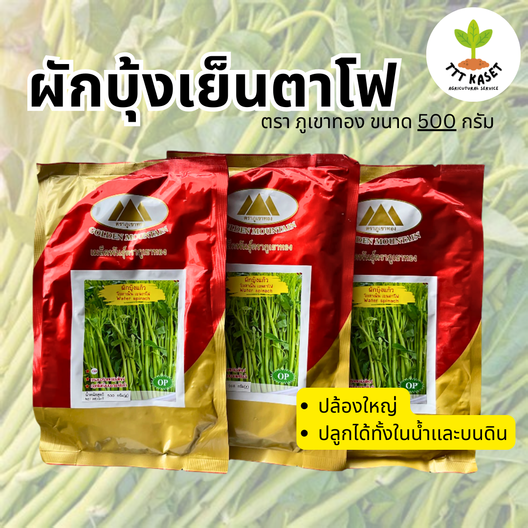 ผักบุ้งเย็นตาโฟ ผักบุ้งแก้ว เมล็ดพันธุ์ผักบุ้ง ตราภูเขาทอง ขนาด 500 ...