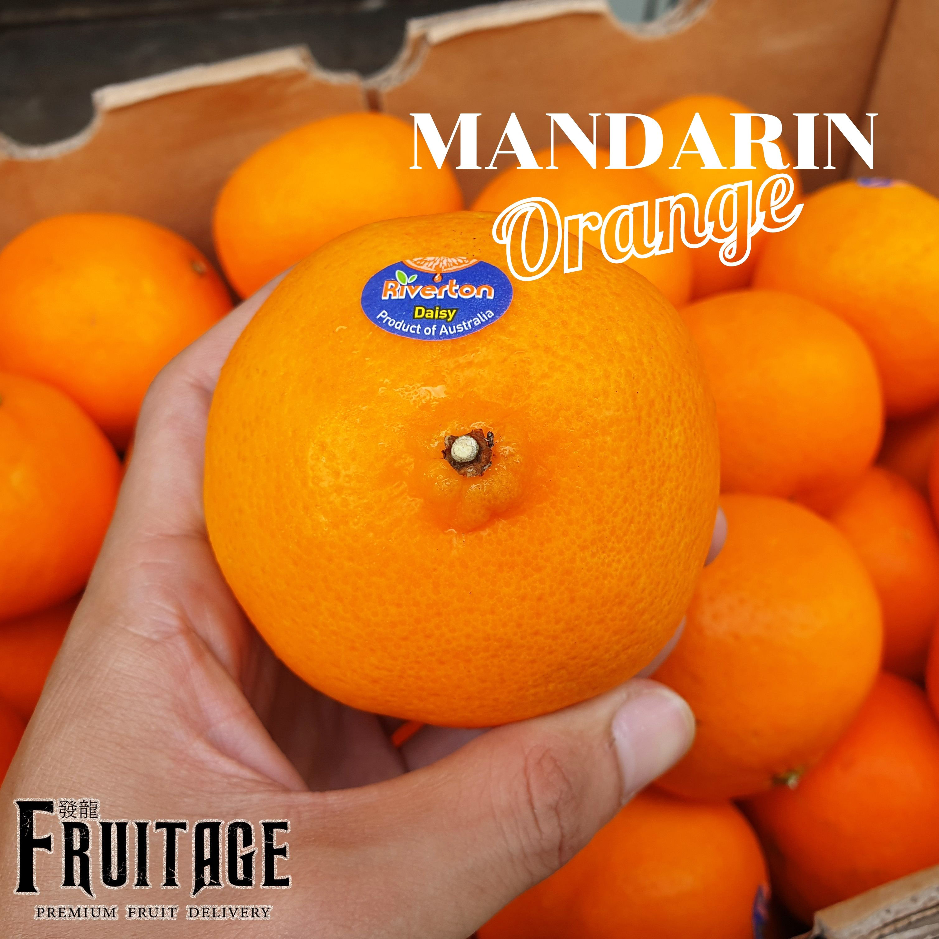 ส้มแมนดาริน ออสเตรเลีย Mandarin Orange (ยกลัง) (AUSTRALIA) ~ลดพิเศษ ...