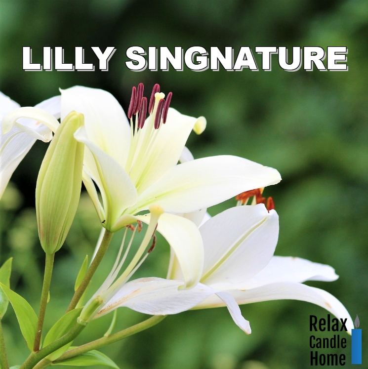 หัวน้ำหอมแท้ ดอกลิลลี่ Lilly signature Fragrance oil สำหรับเทียนเเละ ...