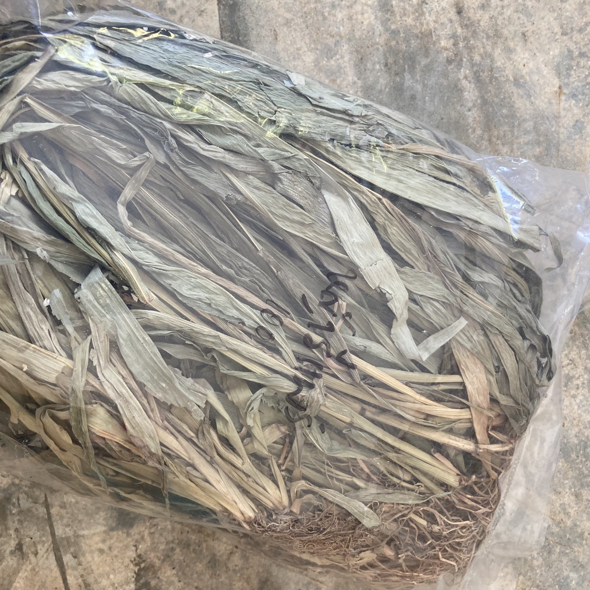 หญ้ารีแพร์(Barbed grass)แห้ง ขนาด 100 กรัม ฟื้นฟูแผลให้หายเร็ว - ชา ...