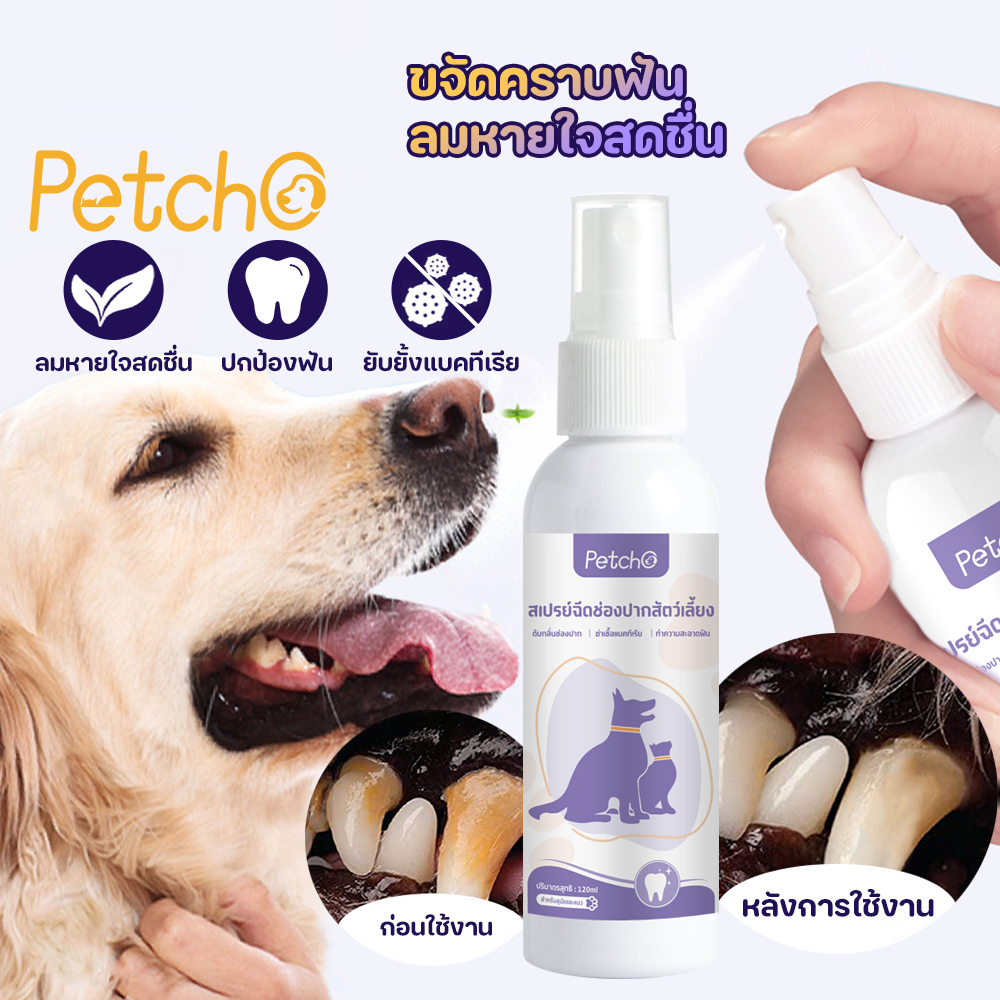 Petchoสเปรย์ฉีดช่องปากสัตว์เลี้ยง น้ำยาบ้วนปากแมว สเปรย์พ่นฟันแมว ทำ ...