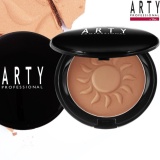 ARTY SHADING POWDER N2 - น้ำตาลทองสำหรับผิวขาว | Lazada.co.th