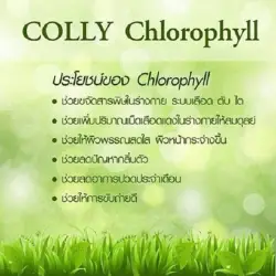 Colly Chlorophyll Plus Fiber Green Tea 3 กล่อง - Beauty Delivery - ThaiPick