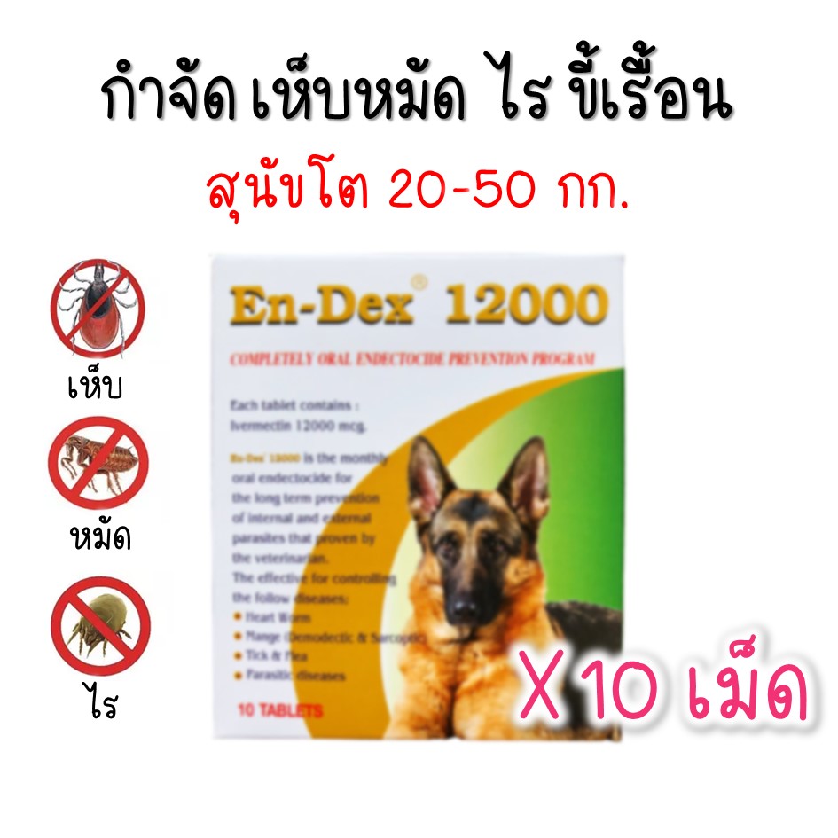 en dex 12000 กำจัดเห็บหมัด สุนัข ไร ขี้เรื้อน (บรรจุ 10 เม๊ด) - TO ME ...