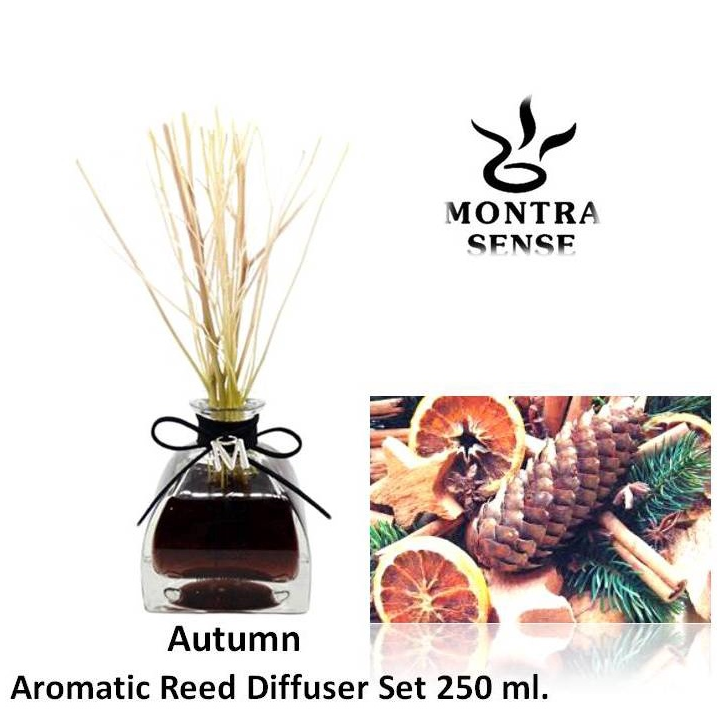 Montra Sense - Reed diffuser Set 250 ml. ก้านไม้หอม ขนาด 250 ml. | Lazada.co.th