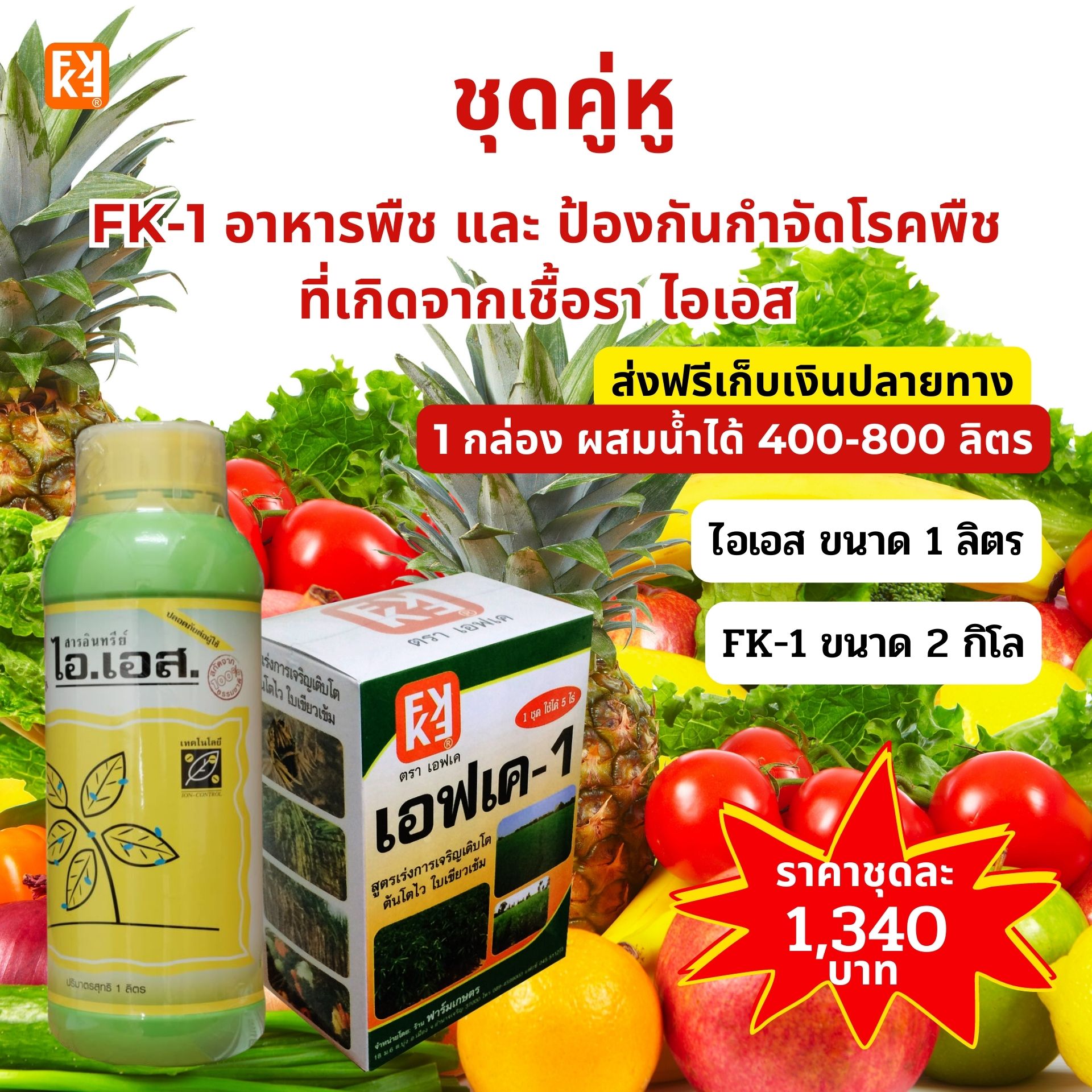 กำจัดโรคที่เกิดจากเชื้อรา ไอเอส สารอินทรีย์ยับยั้งเชื้อรา FK-1 เร่ง ...