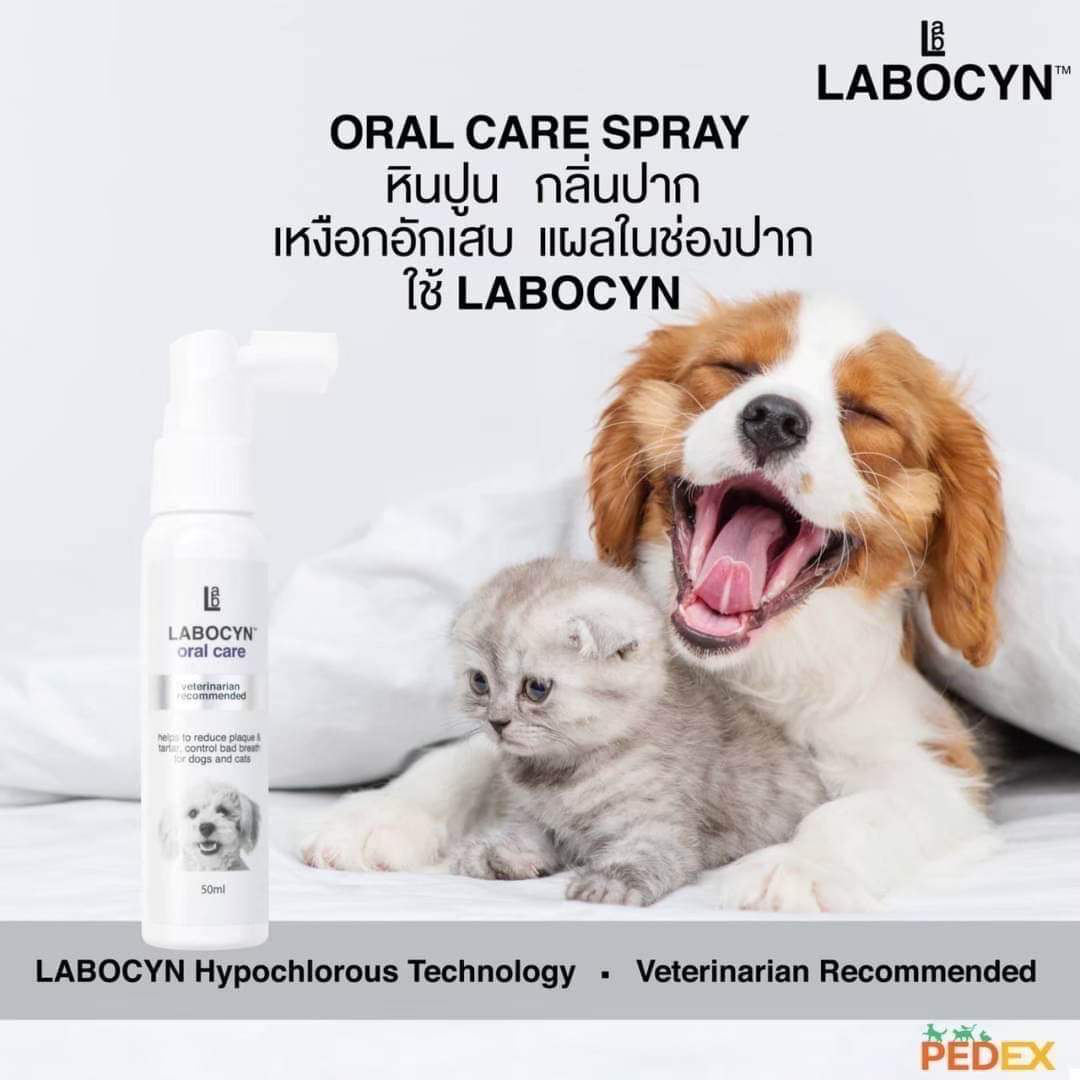 Labocyn Oral Care Spray 50ml. ลาโบซิน สเปรย์ดูแลช่องปาก สำหรับสัตว์ ...