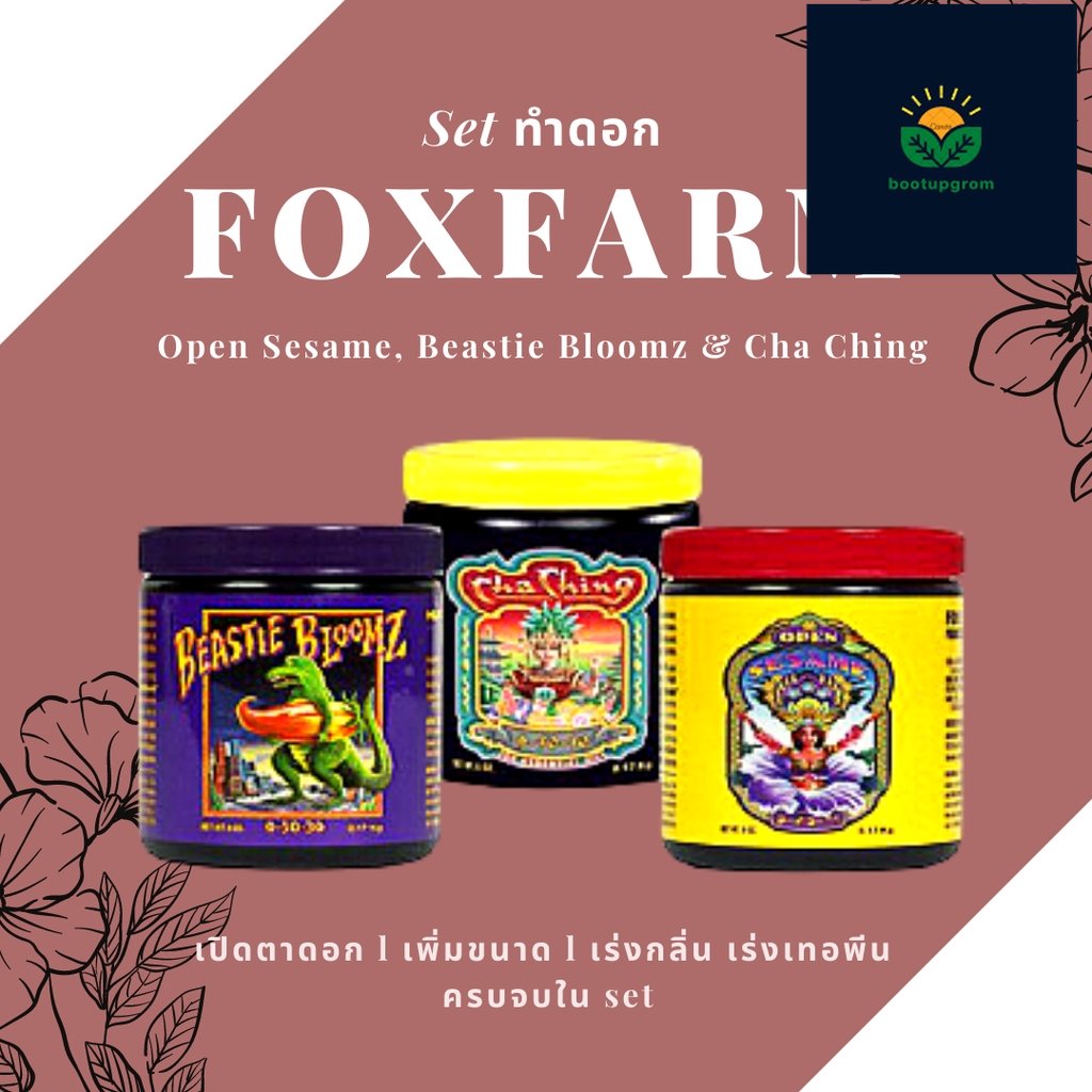 (Set ทำดอก) Foxfarm fox farm Open Sesame, Beastie Bloomz & Cha Ching ...